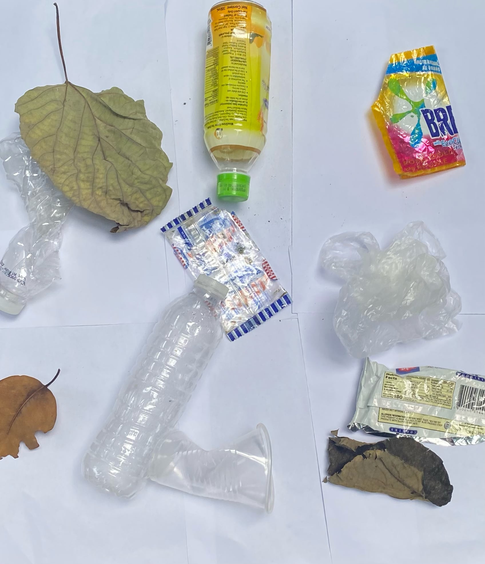 Trash A.I. Object Detection Dataset and Pre-Trained Model by Robotic Arm Segregator