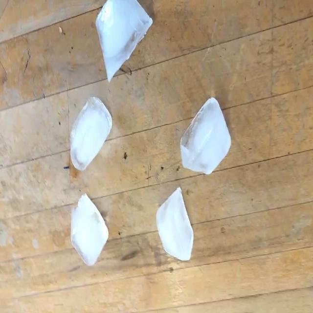 How to Use the Ice and Rocks Object Detection API