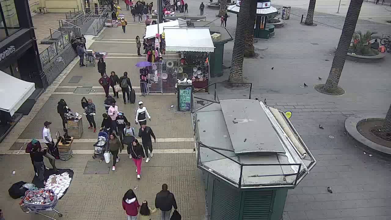 test_conteo_persona Object Detection Model by Eitan Hasson