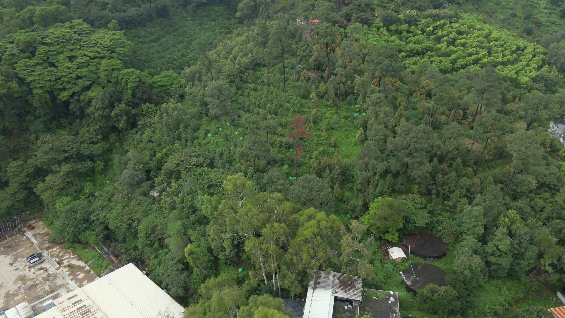 SAB_Datasets_O Object Detection Dataset by SAB