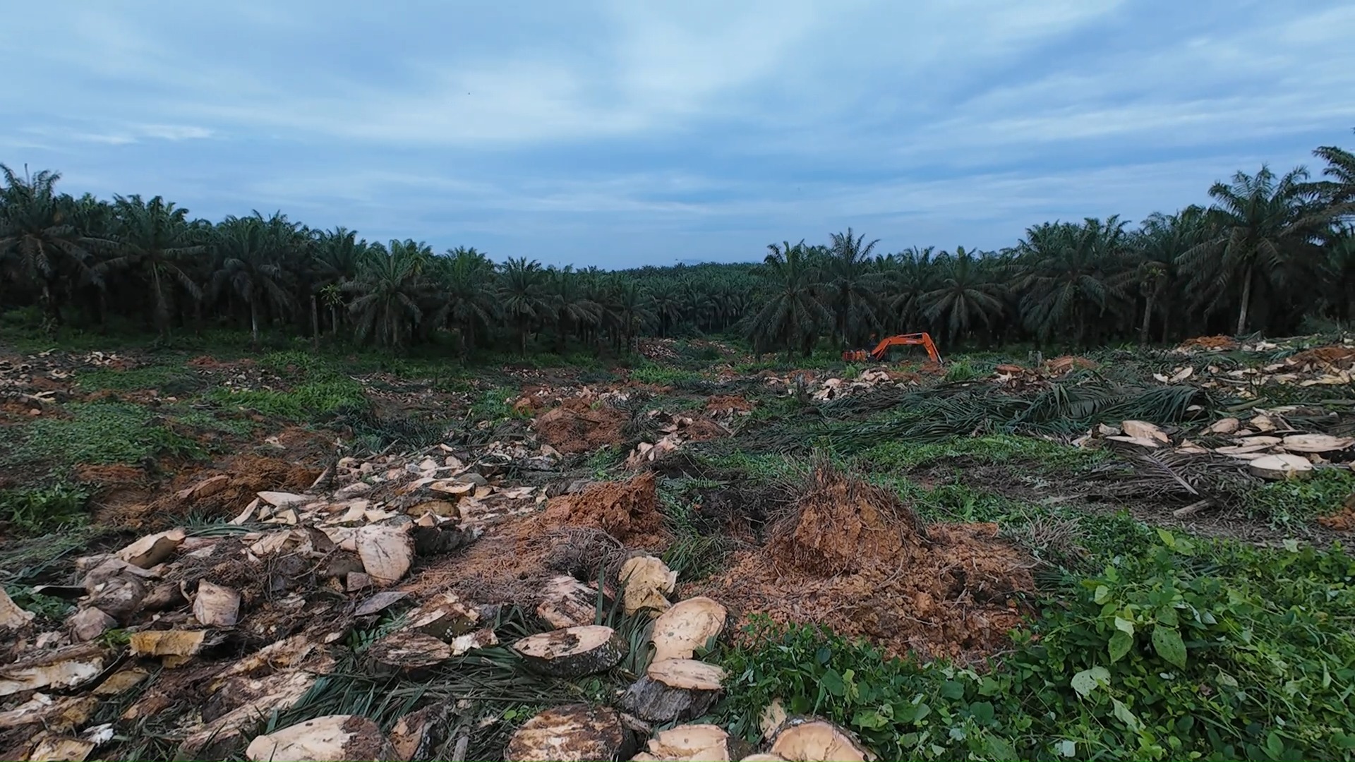 Chip Thickness Instance Segmentation Dataset by PasarPikul