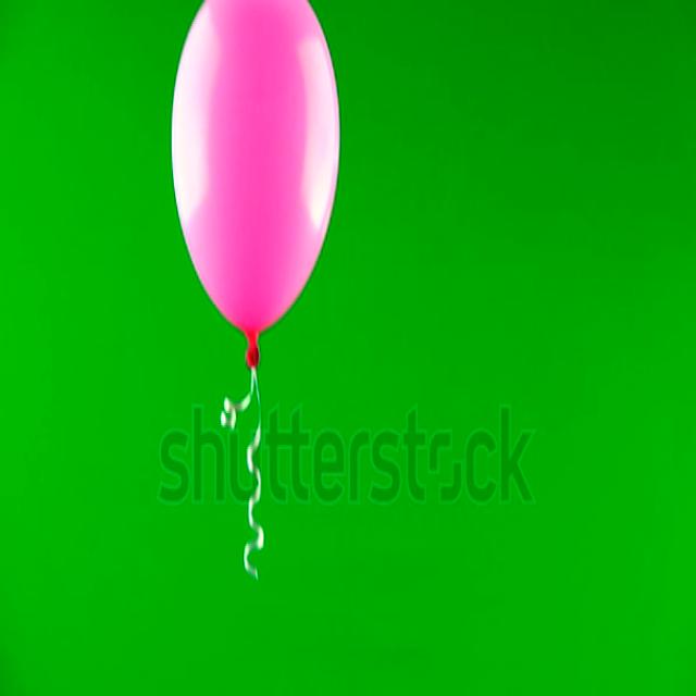 balloon project 2 Object Detection Dataset and Pre-Trained Model by Melih