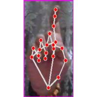 DSP (dsp-afyf9) - Roboflow Universe