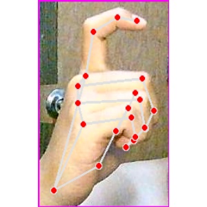 DSP FINAL Object Detection Model by DSP