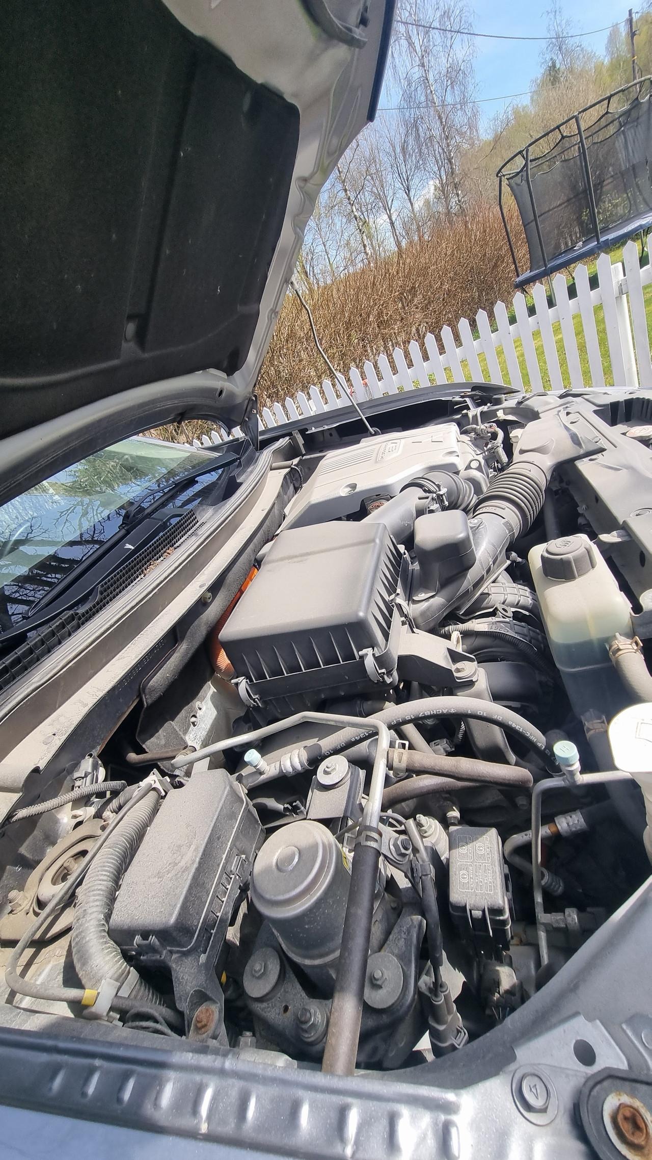 Engine Detector Object Detection Model by BlackDasher