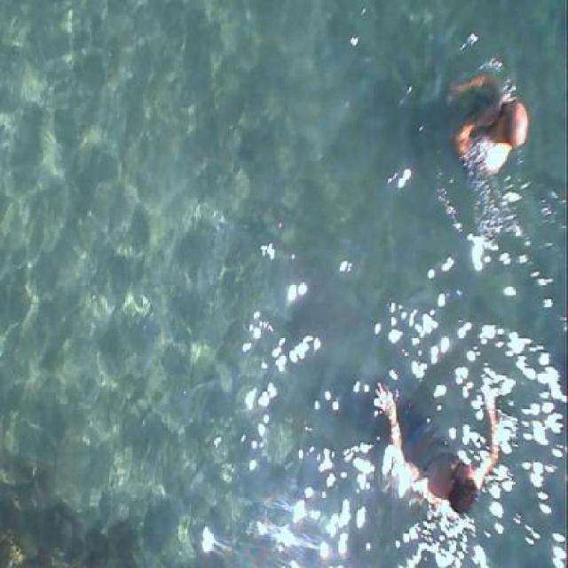drowning detection Object Detection Dataset by v