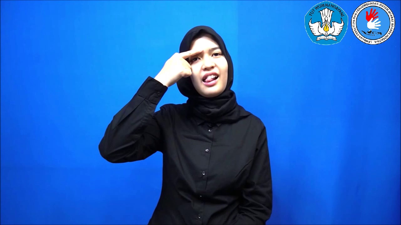 Sign Language Project - Roboflow Universe