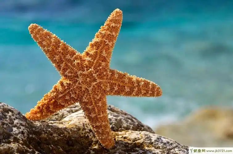 Detect And Classify Object Detection Object Detection Model By Isaac