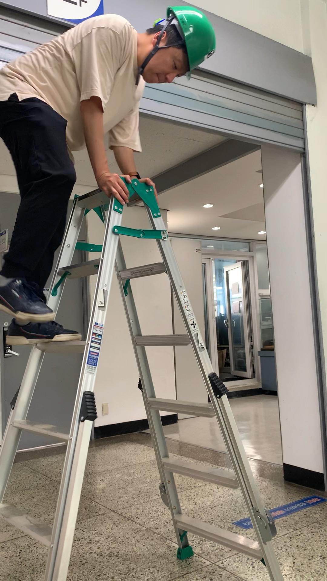 ladders Object Detection Dataset by IISc