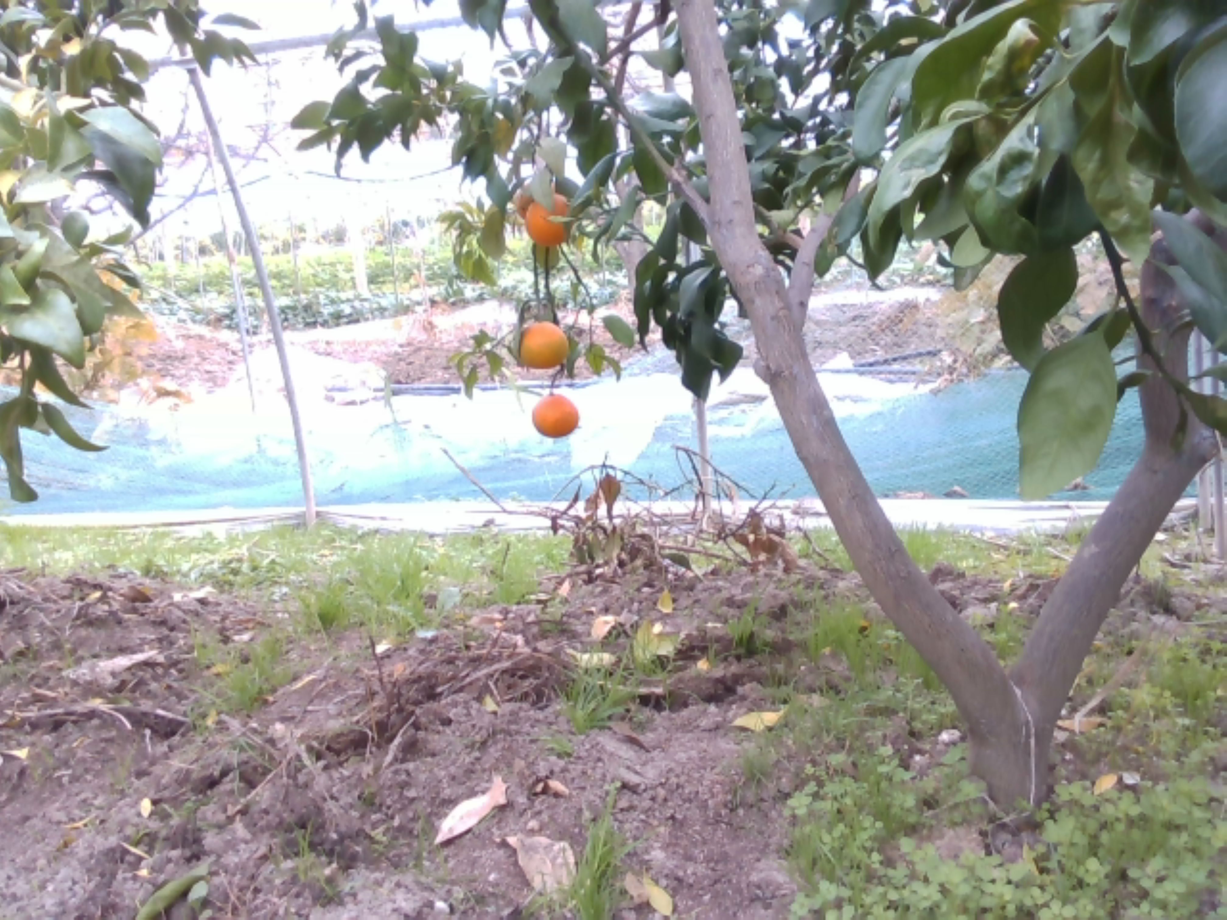 CHANGZHOU UNIVERSITY (changzhou-university-enquy) - Roboflow Universe