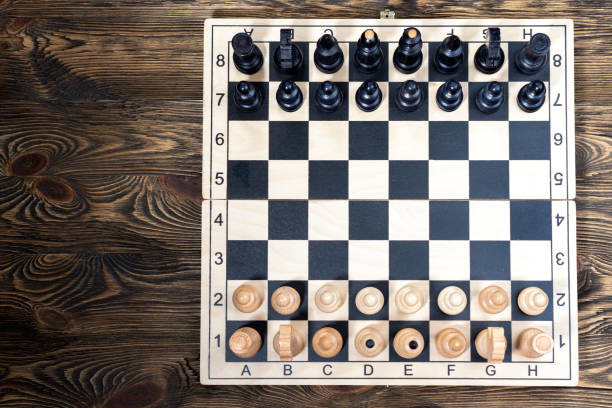 How to Use the Chess Board DataSet Instance Segmentation API