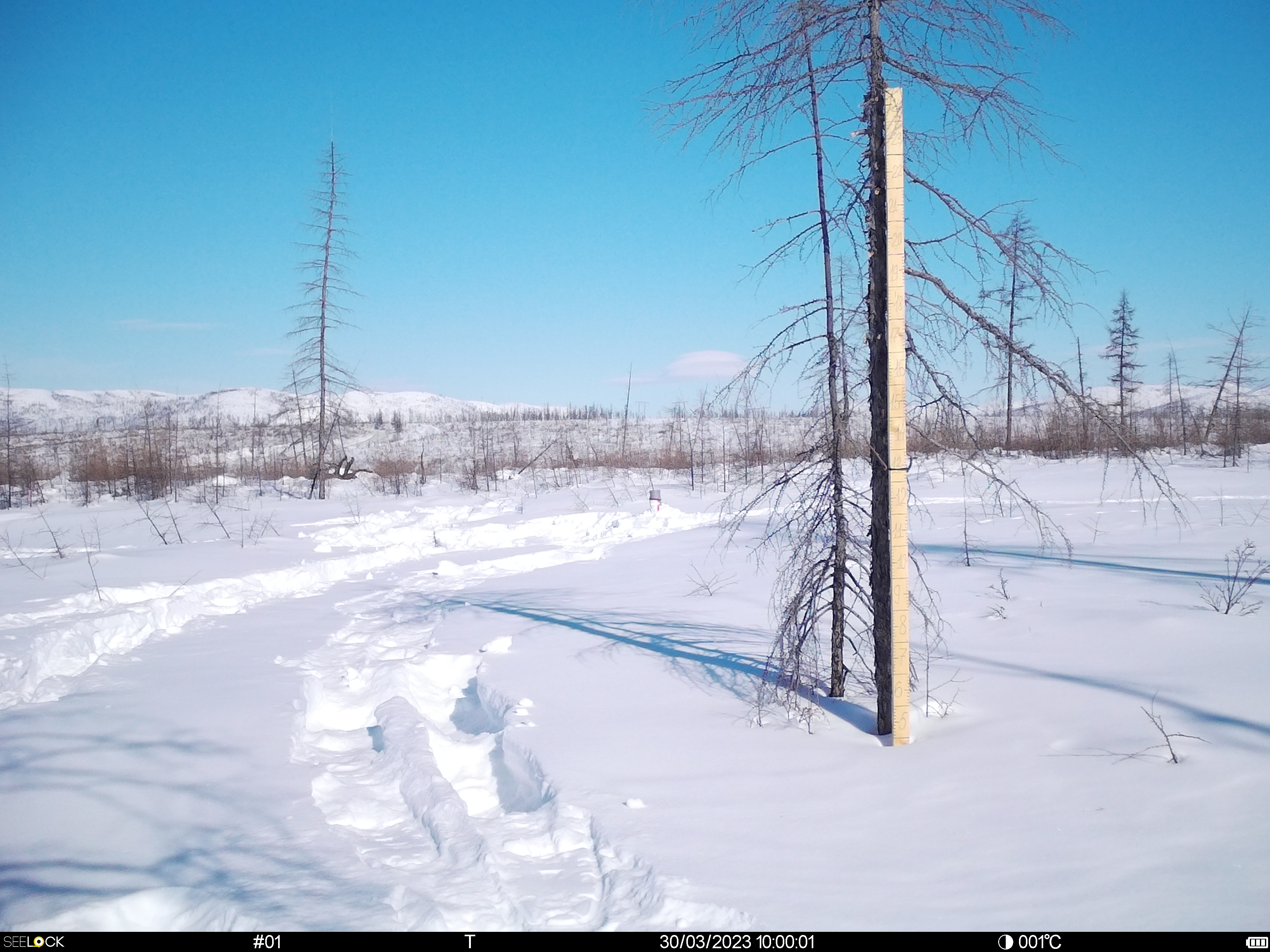 Ruler Segmentation Instance Segmentation Dataset and Pre-Trained Model by 1