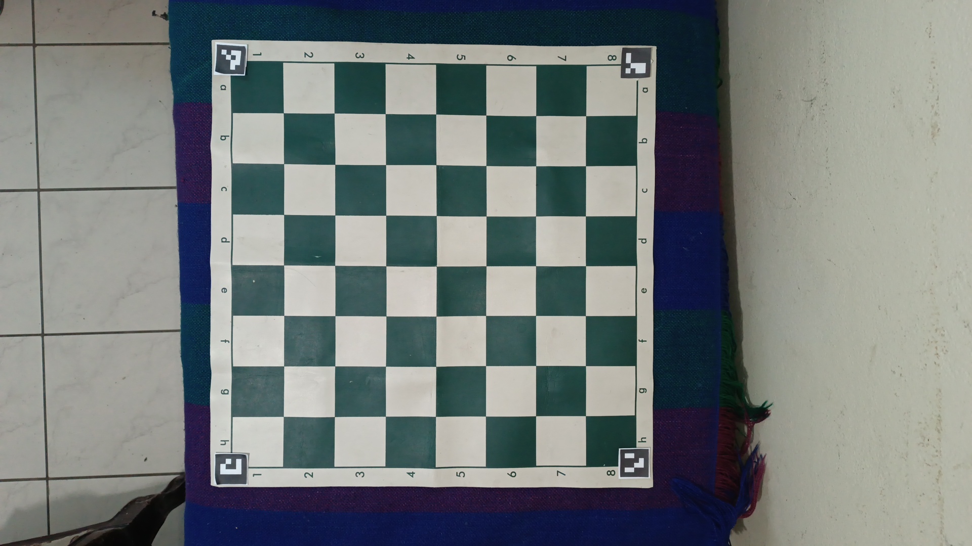 Amazons game recognition Instance Segmentation Dataset and Pre-Trained ...