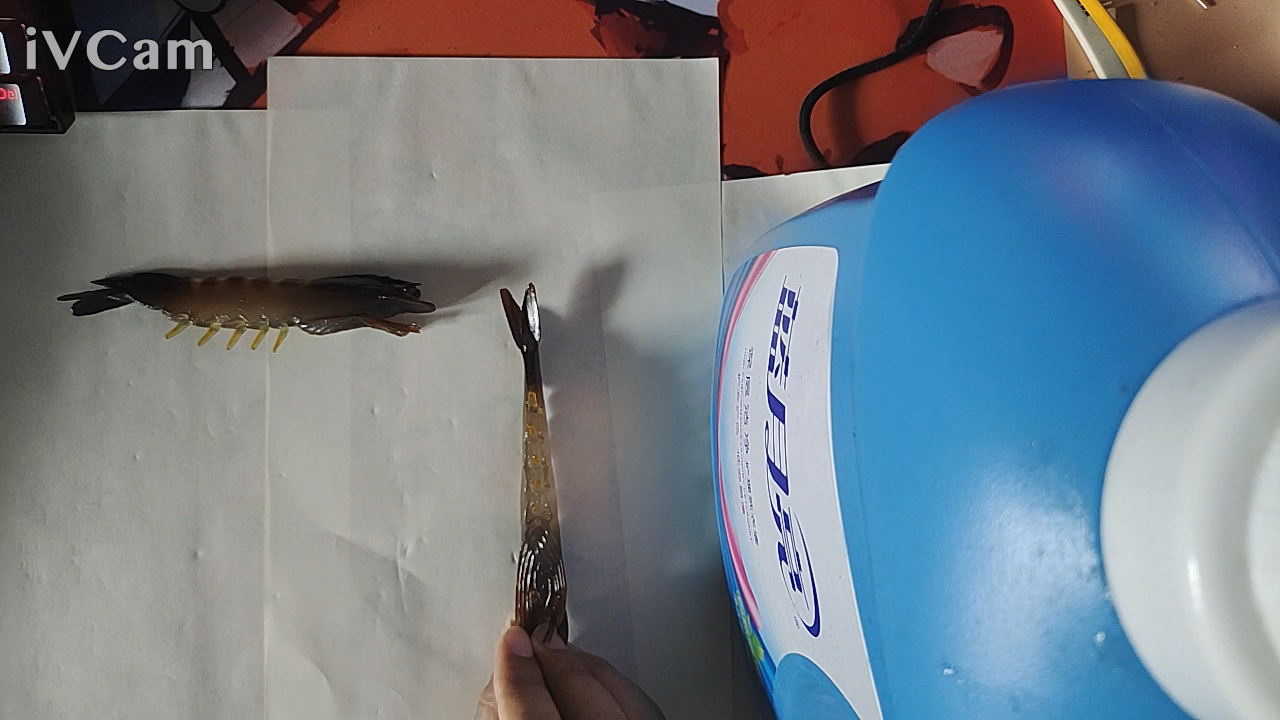 Shrimp Model Object Detection Dataset By Shrimp