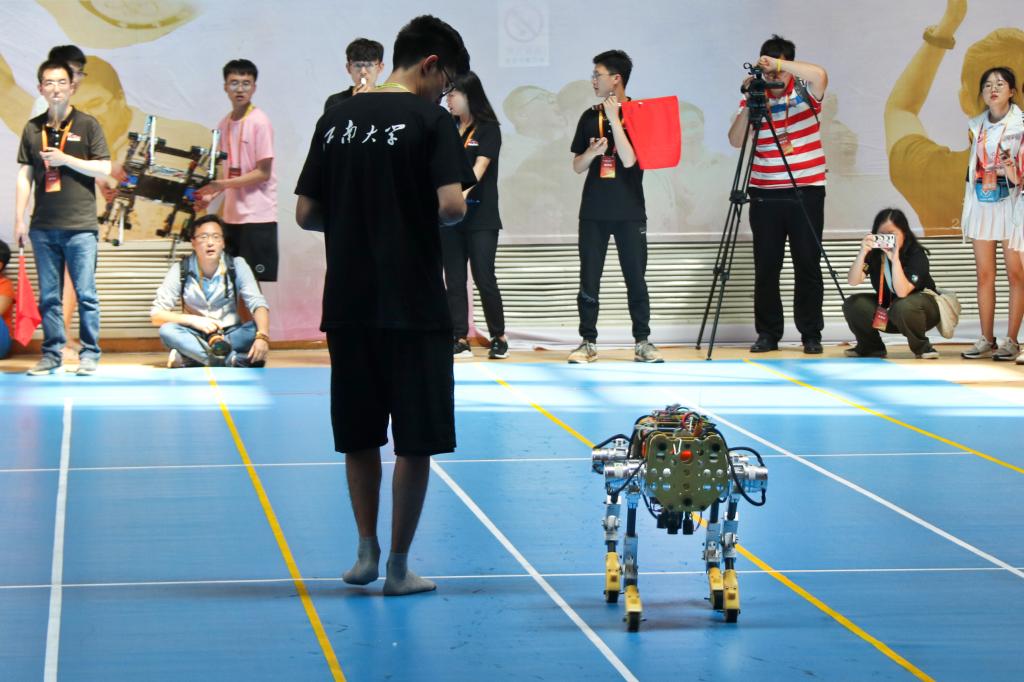 robot Object Detection Dataset by balls