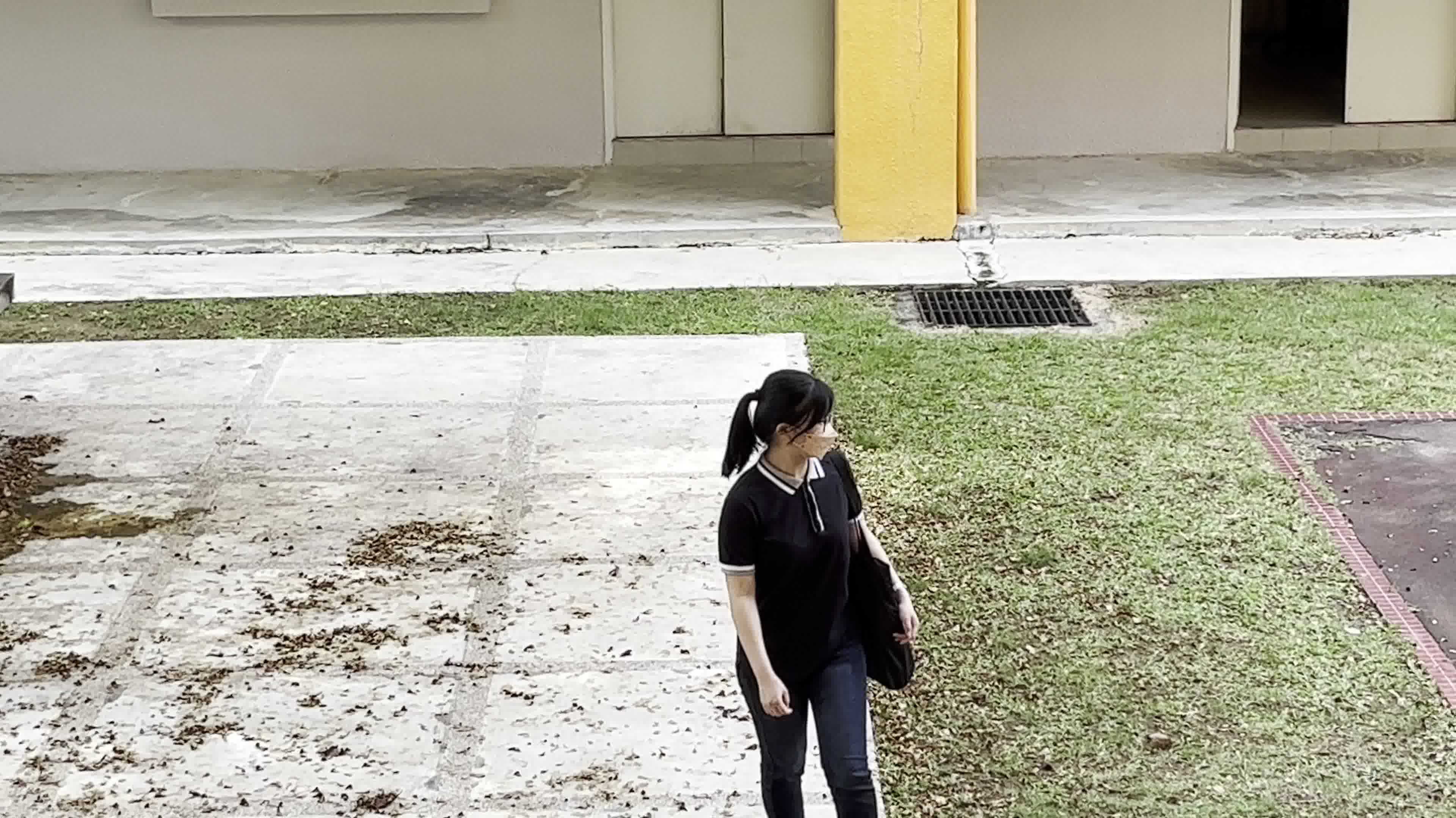 Head Detection Cctv Object Detection Dataset By Fire