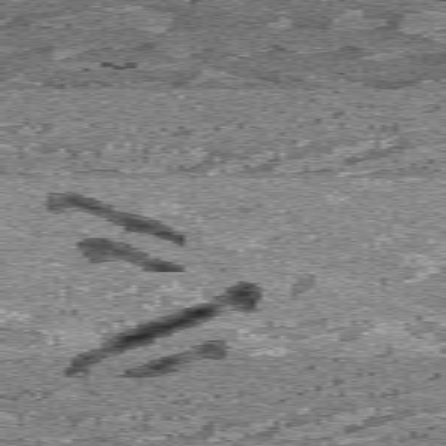 Data Augmentation Object Detection Dataset By Yolov5