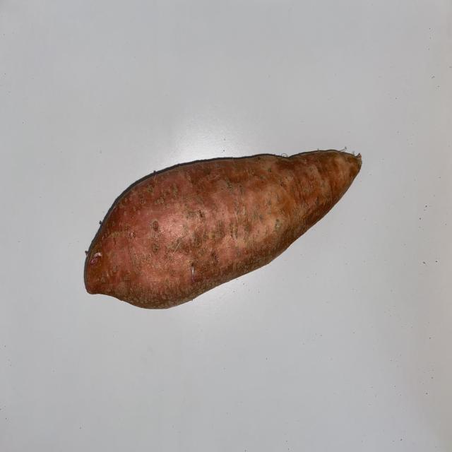 Potatoes Orientation Object Detection Model By Ammarworkspace