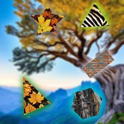 most_similar_object_hexagon Instance Segmentation Dataset by QIN2DIM