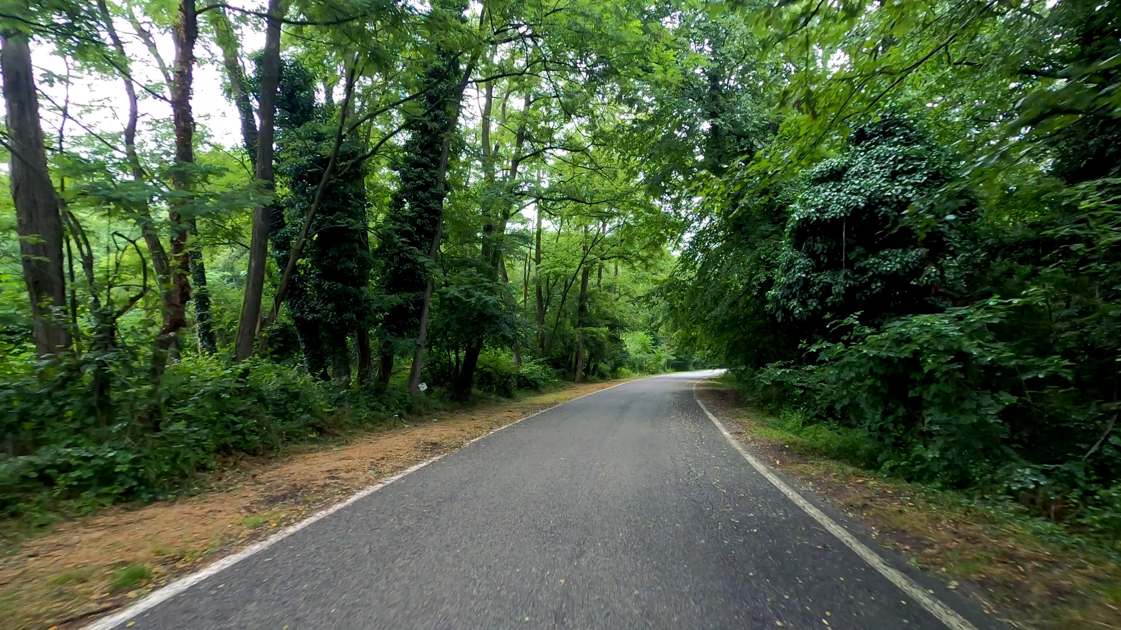 road_valid Semantic Segmentation Dataset by JaehoonAhn