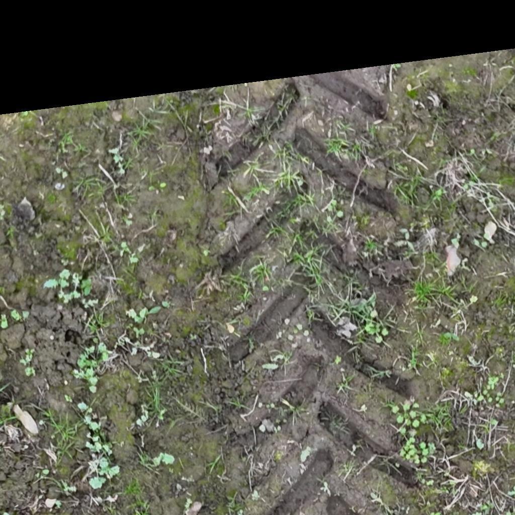 Noise-Blur Instance Segmentation Dataset by Project1