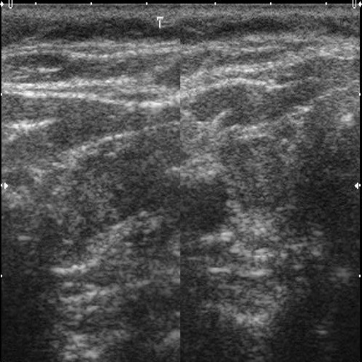 Medical Imaging Object Detection Dataset by Technikum