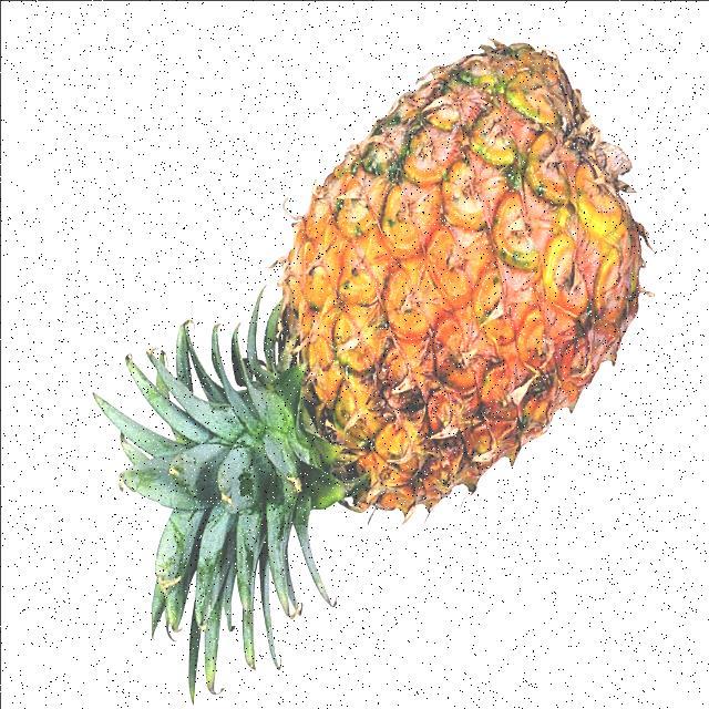 Shak - Roboflow Universe