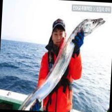 algo Object Detection Dataset and Pre-Trained Model by algorithm