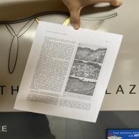 freddiews - Roboflow Universe