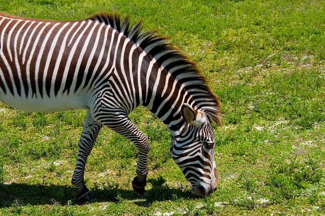 huiying (huiying-b17jm) - Roboflow Universe