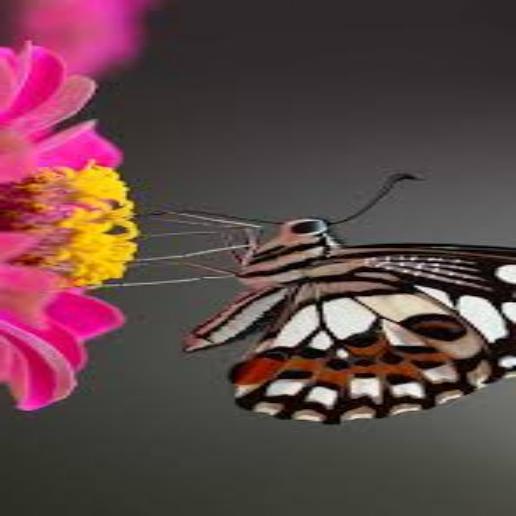 Flying Insect Detection Object Detection Dataset By Paper