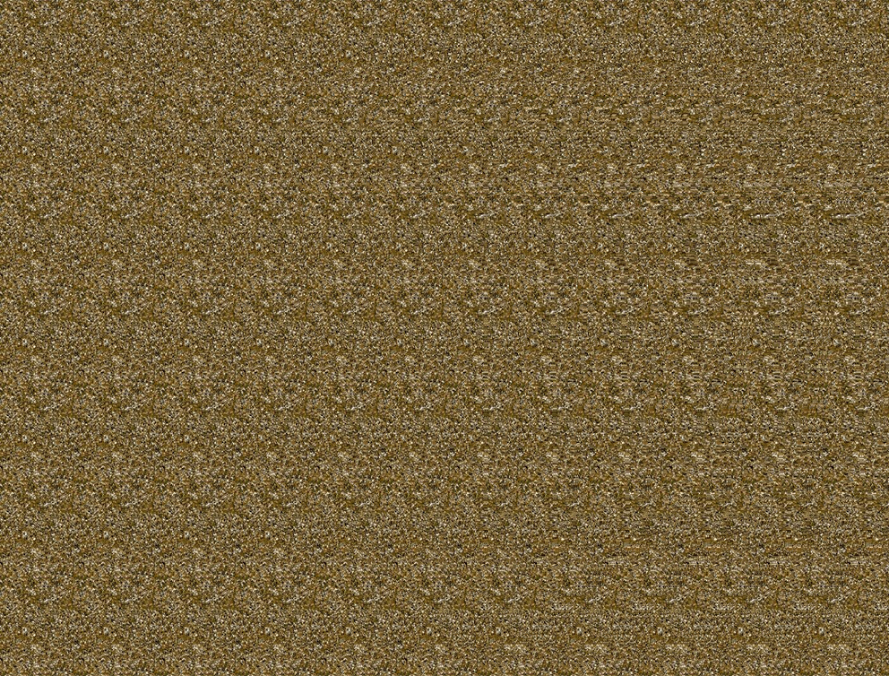 Stereogram Exp 2 Instance Segmentation Model by Stereogram