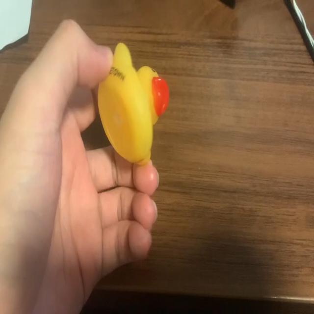 rubber ducks Object Detection Dataset and Pre-Trained Model by patos