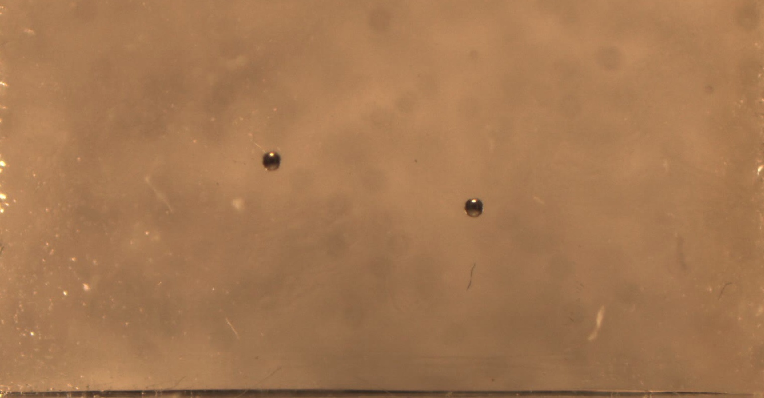 Multi-Agent Tracking Object Detection Dataset and Pre-Trained Model by YOLOv5