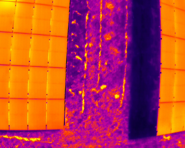 vp2 Instance Segmentation Model by PSU