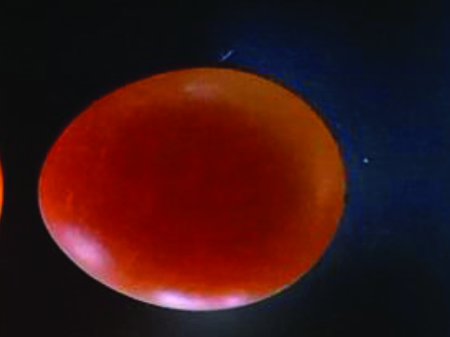 eggg Object Detection Dataset by Egg