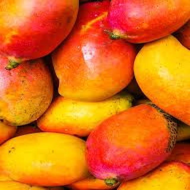 fruits segmentations Instance Segmentation Model by wisd