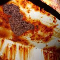 Rust detection (rust-detection-4twbi) - Roboflow Universe