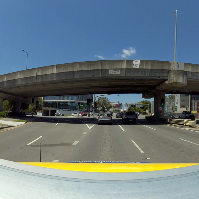 tree Instance Segmentation Dataset by ptexperiment