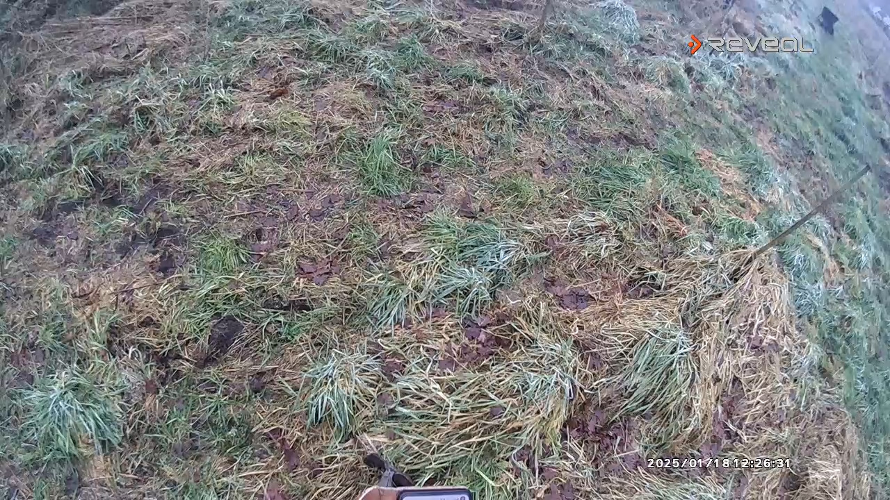 planting-trees-temperate Classification Dataset and Pre-Trained Model ...