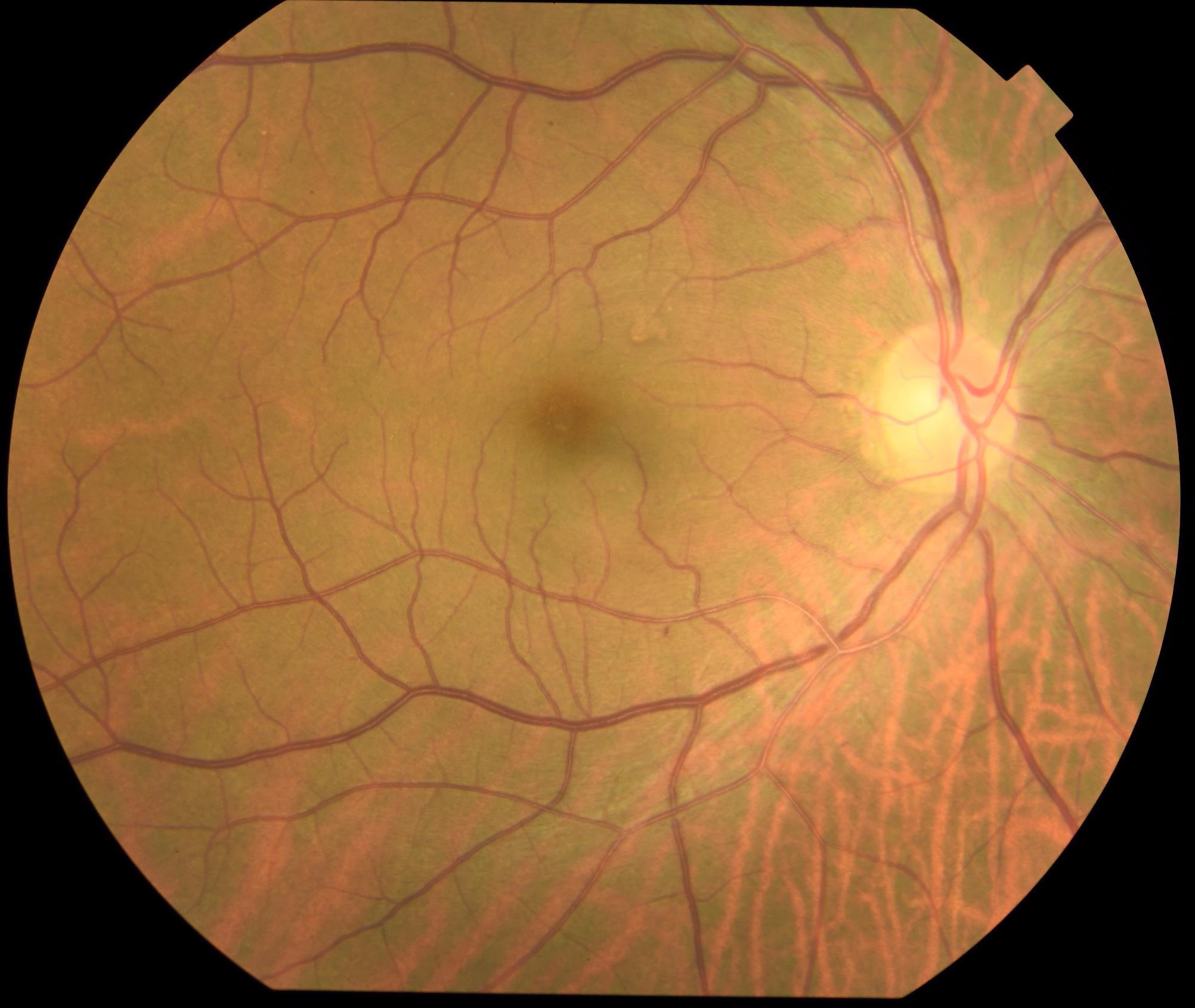 Capstone Dataset Classification Dataset by Capstone