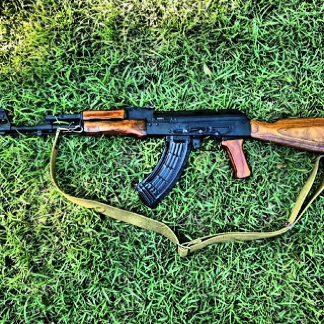 WEAPONS Classification Dataset by Tech