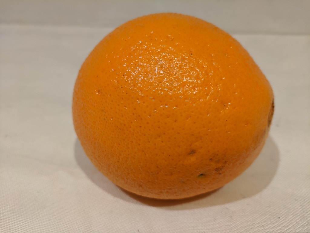 Fruit Object Detection Object Detection Dataset By My Workspace
