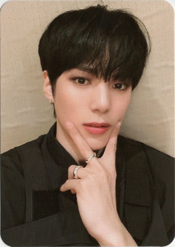 VOV Object Detection Model by fingerprint