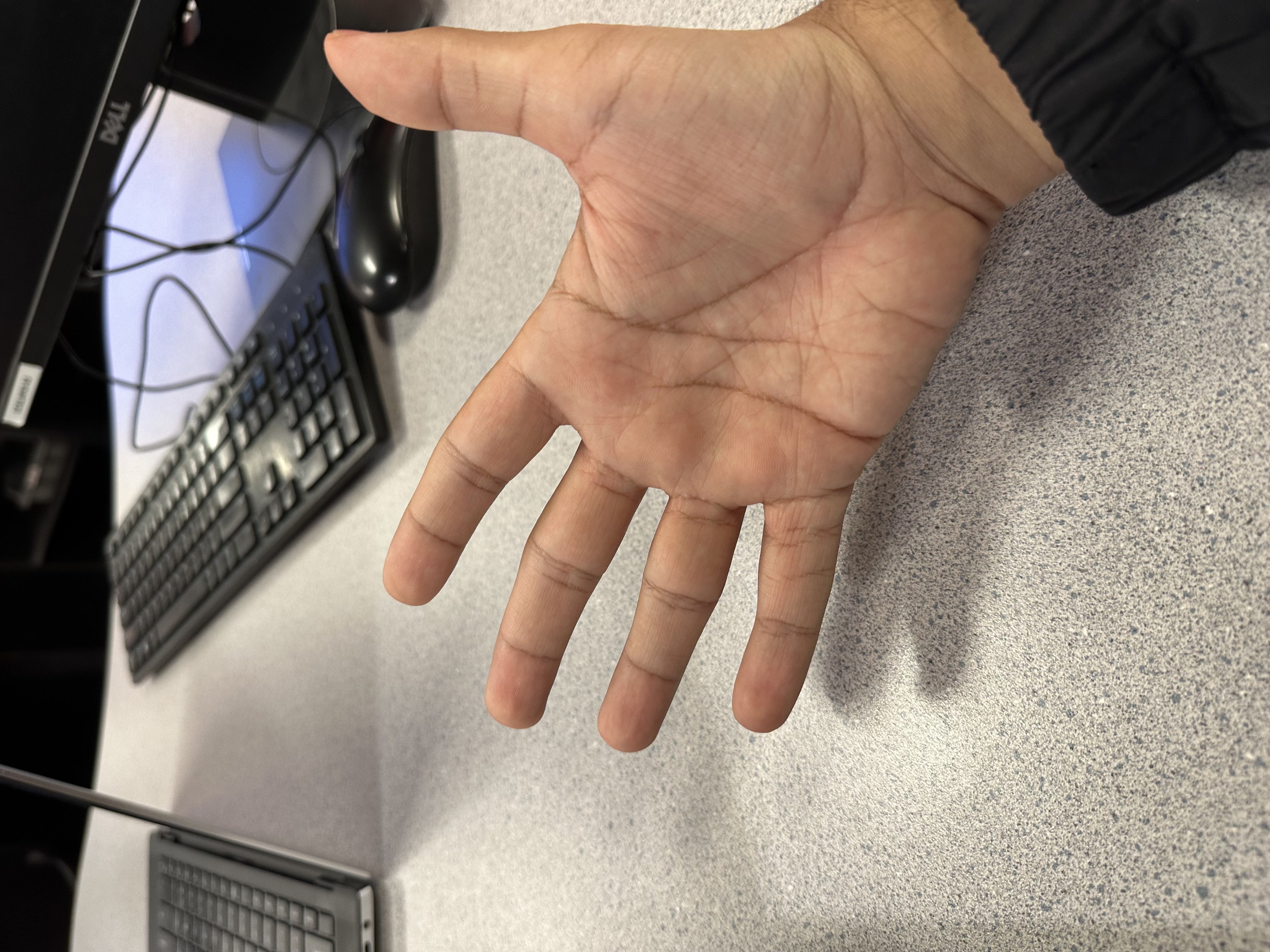 Rock Paper Scissors Object Detection Model by RockPaperScissors101