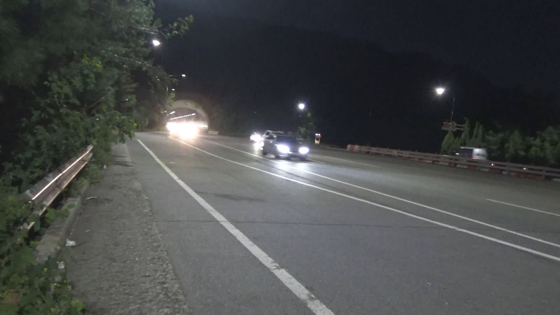 Instance Instance Segmentation Dataset by project-qsvyd