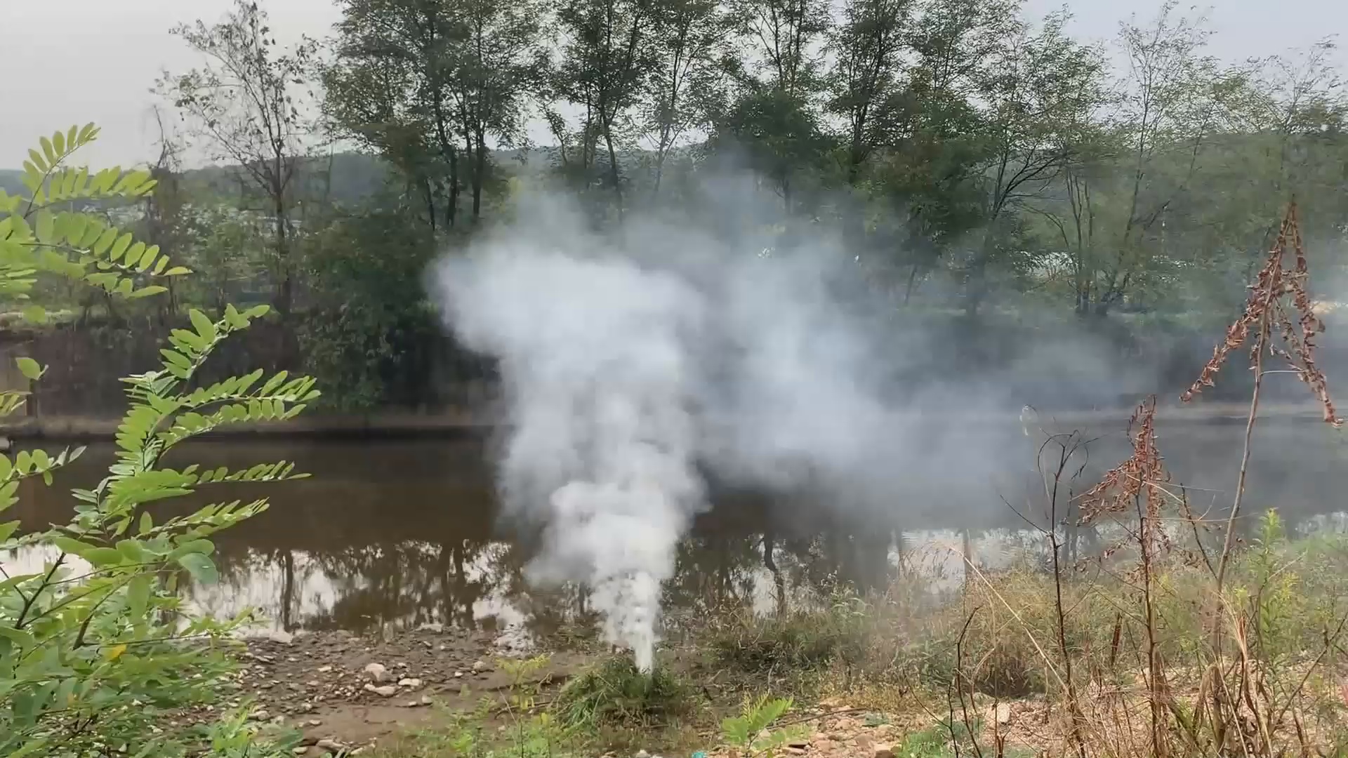 fire seg Instance Segmentation Dataset by project-qsvyd