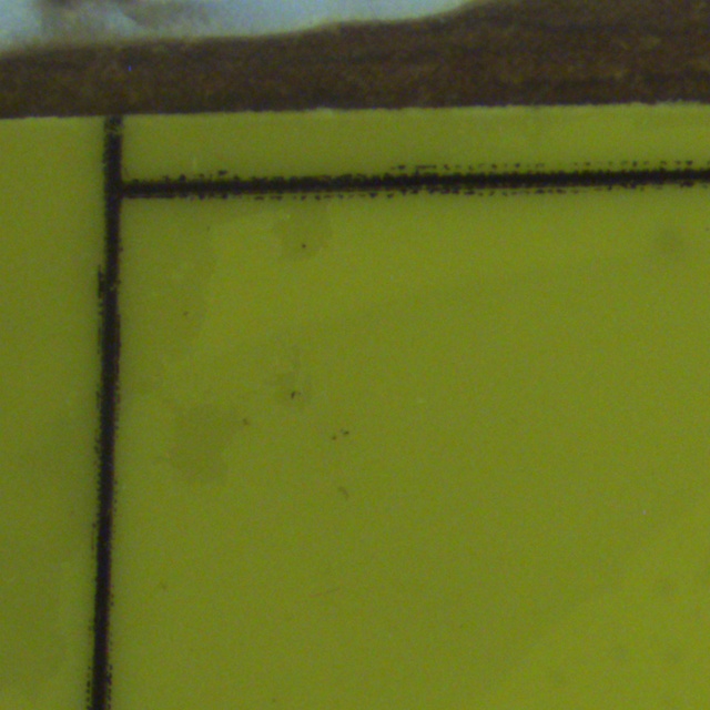 insect_counting Object Detection Model by Pooly Paaneer