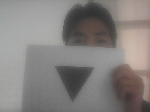 doan_shape_triangle Object Detection Dataset by doan