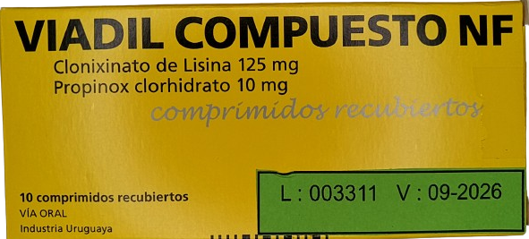 Generador Object Detection Model by letters